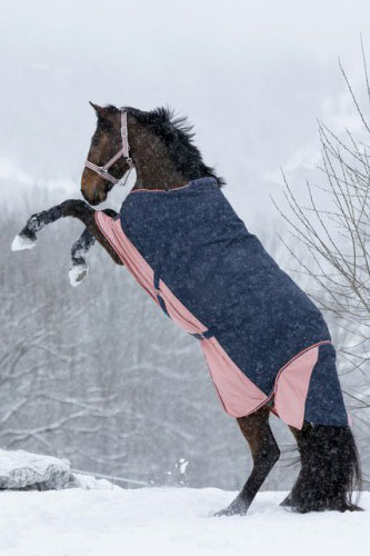 Chic Barn's - speclialiste de l'habillement du cheval et du cavalier