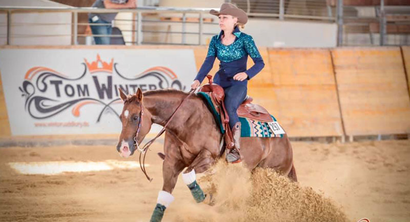 Chic Barn's - speclialiste de l'habillement du cheval et du cavalier
