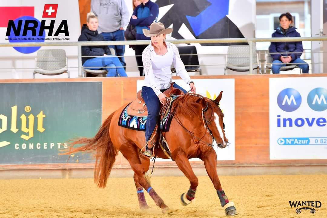 New Chic Barn's - chemise de show galerie